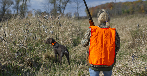 Try European-style pheasant hunt, May 20 in Shiawassee County