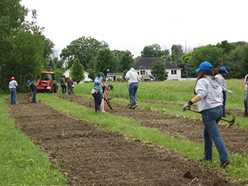 Showcasing the DNR: Tree planting can grow many things