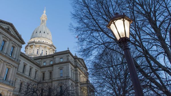 Urban and Community Forestry News - Dec. 8, 2023