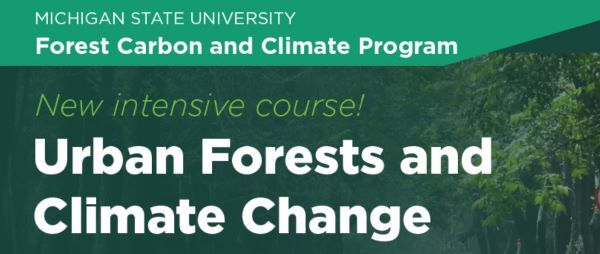 Urban and Community Forestry News - Dec. 8, 2023