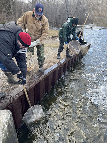 Large trout stocked in Clinton and Huron rivers, Spring Mill Pond