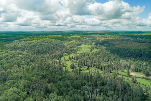 Ensure your forest's future: Apply to Forest Legacy Program by May 2