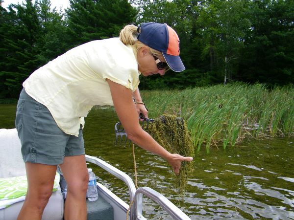 NotMISpecies webinar: Detecting invasive plants in Michigan lakes