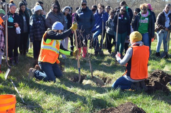 Third round of UCF IRA tree grant awardees announced
