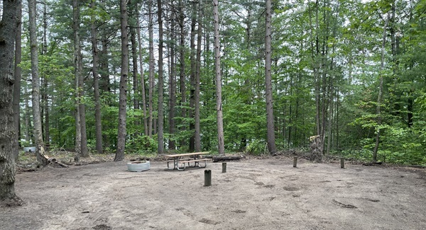 As parks, campgrounds reopen, be careful on forest roads, trails