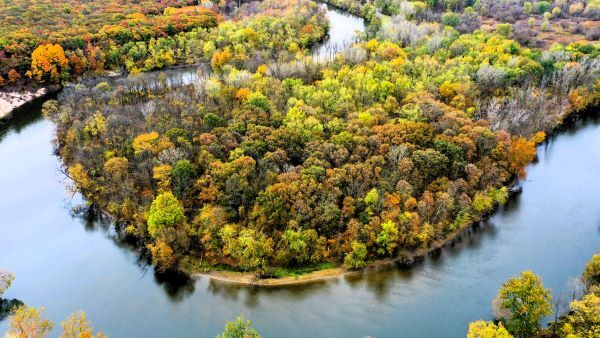 Join us for a guided hike at Allegan State Game Area Aug. 2