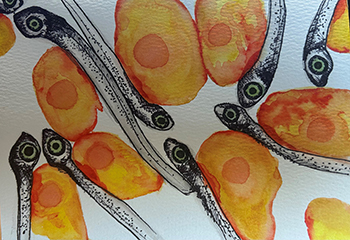 Great Lakes reefs, big fish certificates, Salmon in the Classroom and more!