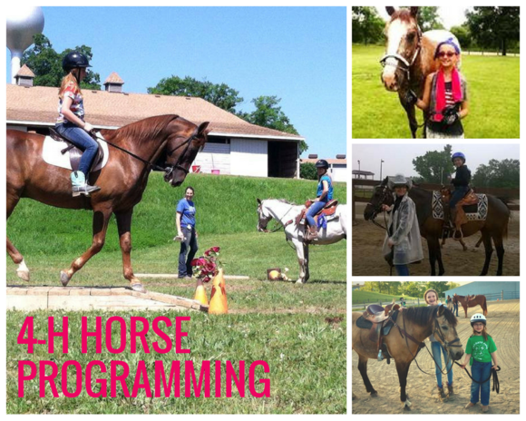 Oakland County 4-H Connections (March 2018)