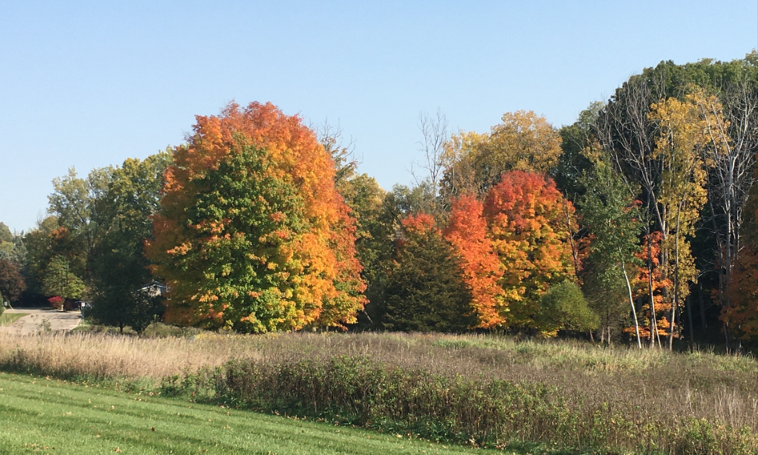 Notes from Nature: What's happening outdoors in Rochester Hills in October