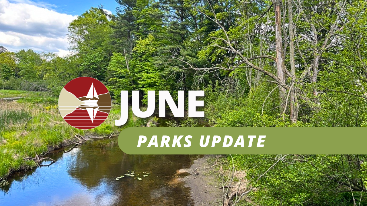 Parks Update - June News, Events, and More!