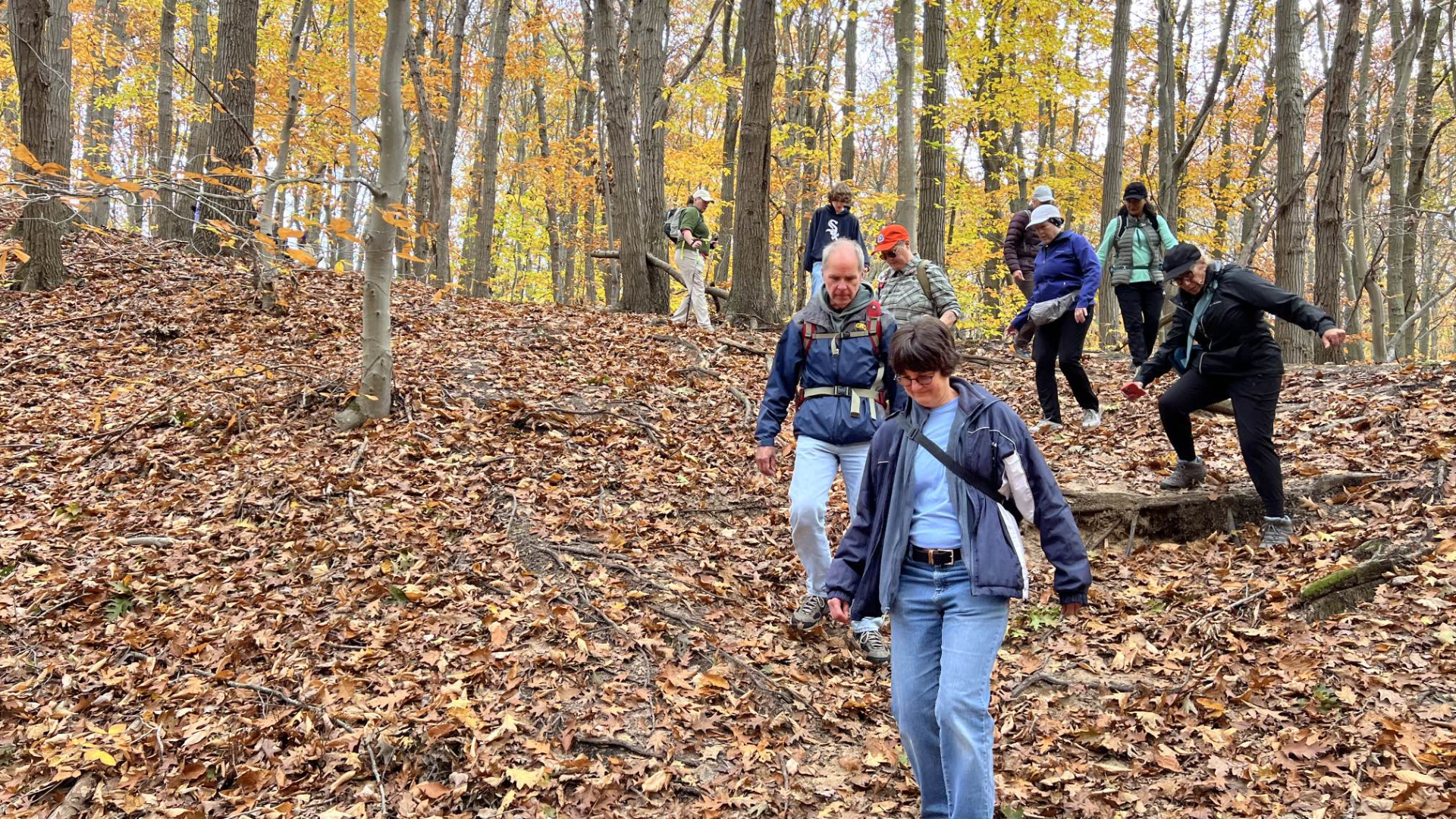 Fall Walking Programs