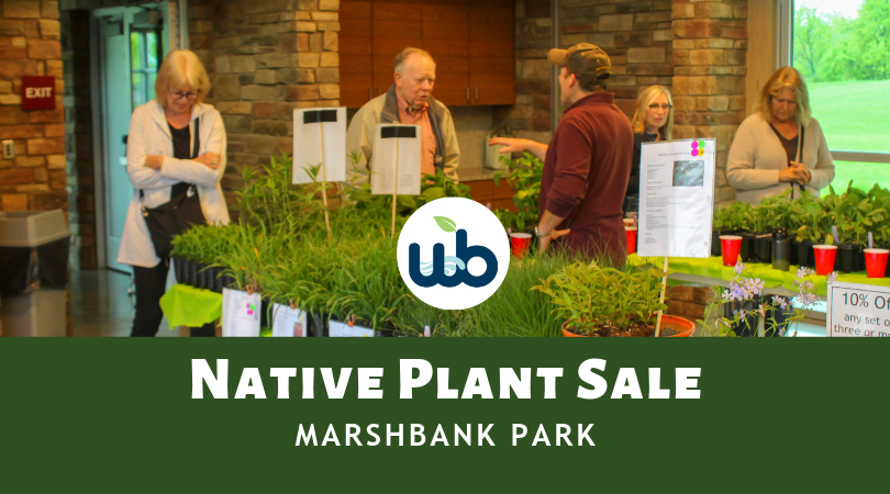 Native Plant Sale this Saturday!