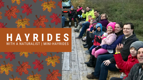 Celebrate the season with a Hayride!
