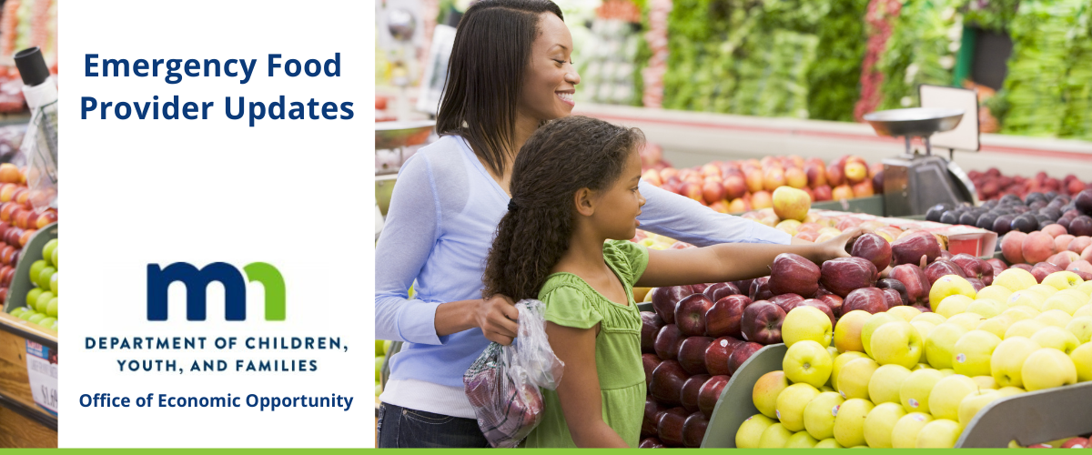 Application for the Minnesota Food Shelf Program (MFSP) Grant now open!