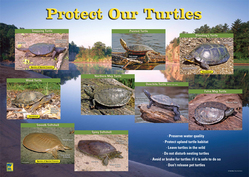 DNR Education News June 2011