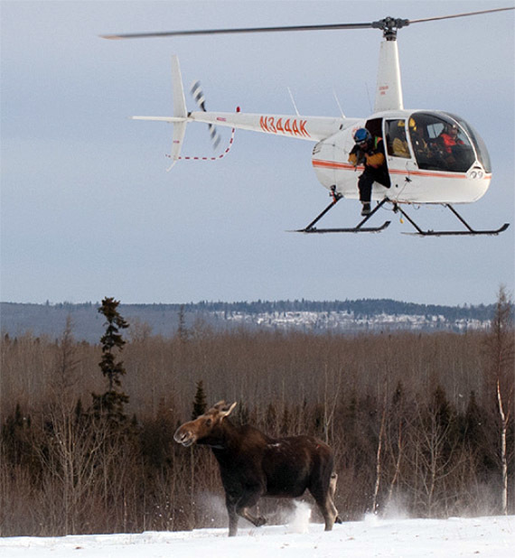 DNR Spotlight - December 30, 2014