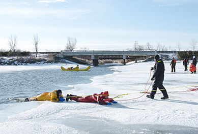 DNR Spotlight - February 10, 2015