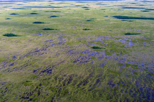 Spotlight: Aug. 11, 2017