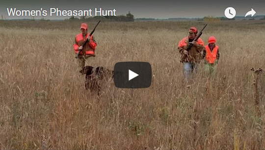 Spotlight: Oct. 20, 2017