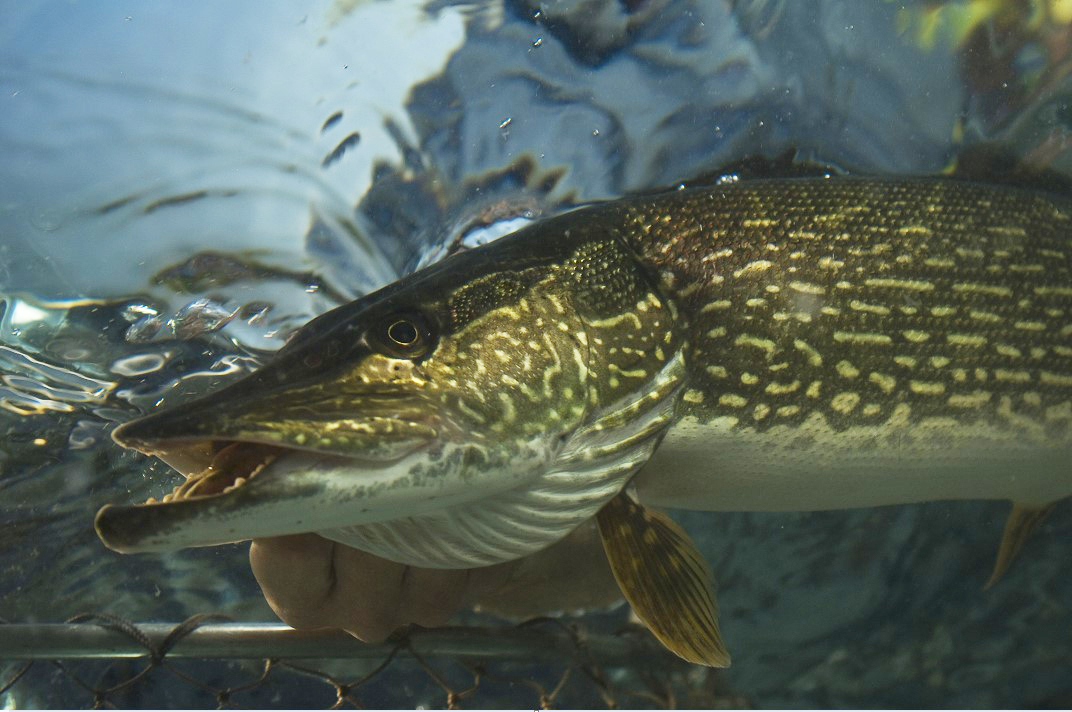 Spotlight: May 3, 2019