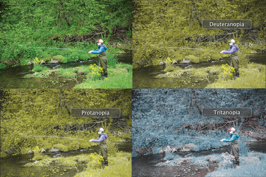 Accessibility News: November 2020