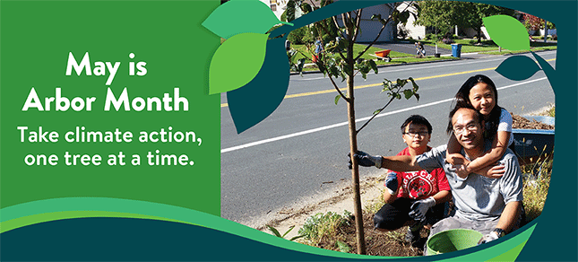 Spotlight employee newsletter