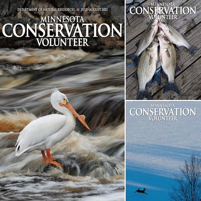 Spotlight employee newsletter