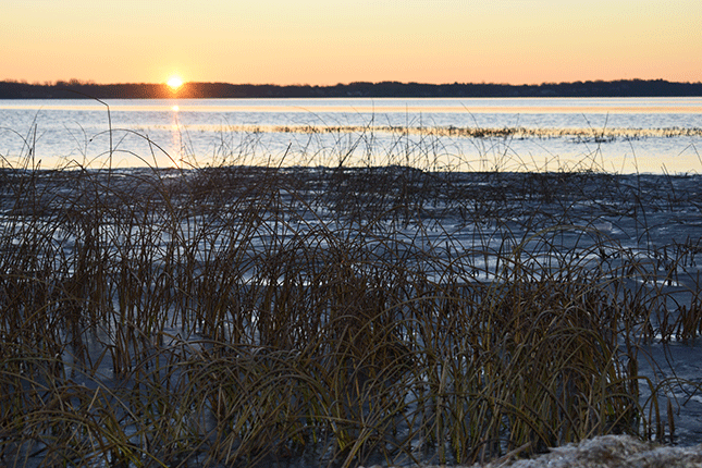 Spotlight employee newsletter