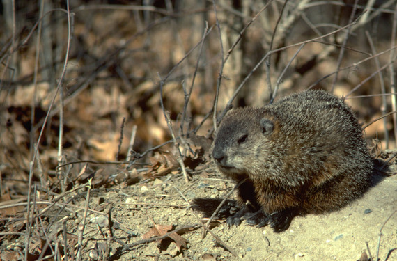 Fall Color Update * Week 4 💧 🛶 🐎