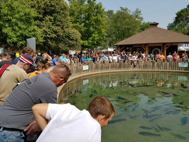 State Fair Volunteer Positions
