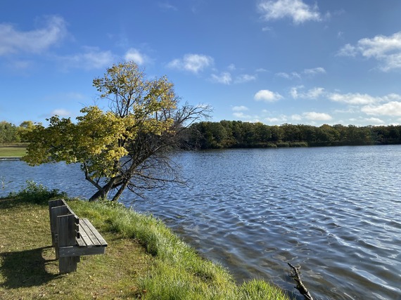 Fall Color Update * Week 1 🍂