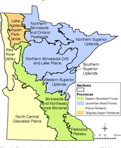 Fall MFRC Newsletter