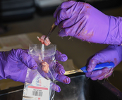 Deer season details!