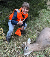Deer harvest update