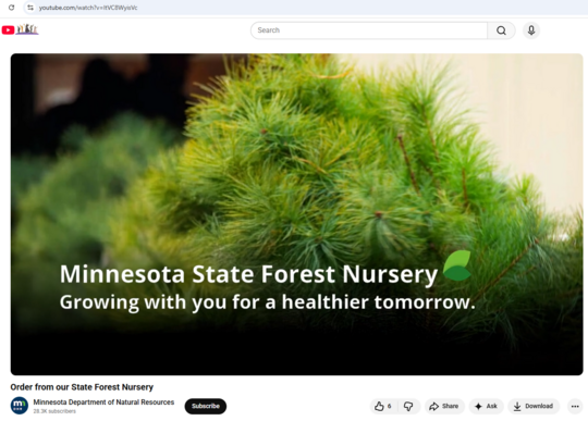 Before the feast, plan your forest! Order seedlings for spring
