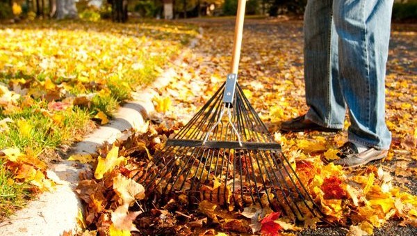 Dispose of Yard Waste Properly