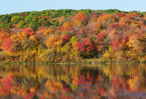Find This Week's Best Fall Color