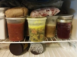 Zero Waste Update: Using your freezer to preserve food