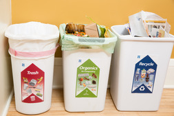 Zero Waste Update: Planning a low-waste celebration