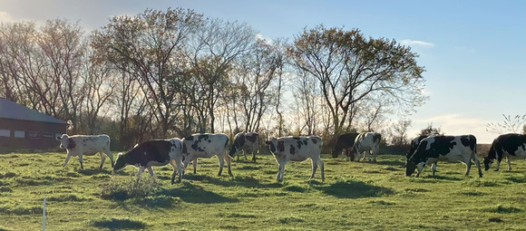 Conservation Connection: January 2024