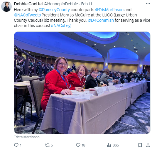 March Newsletter: Hennepin County Commissioner Debbie Goettel