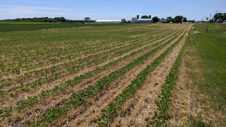 Conservation Connection: July 2024