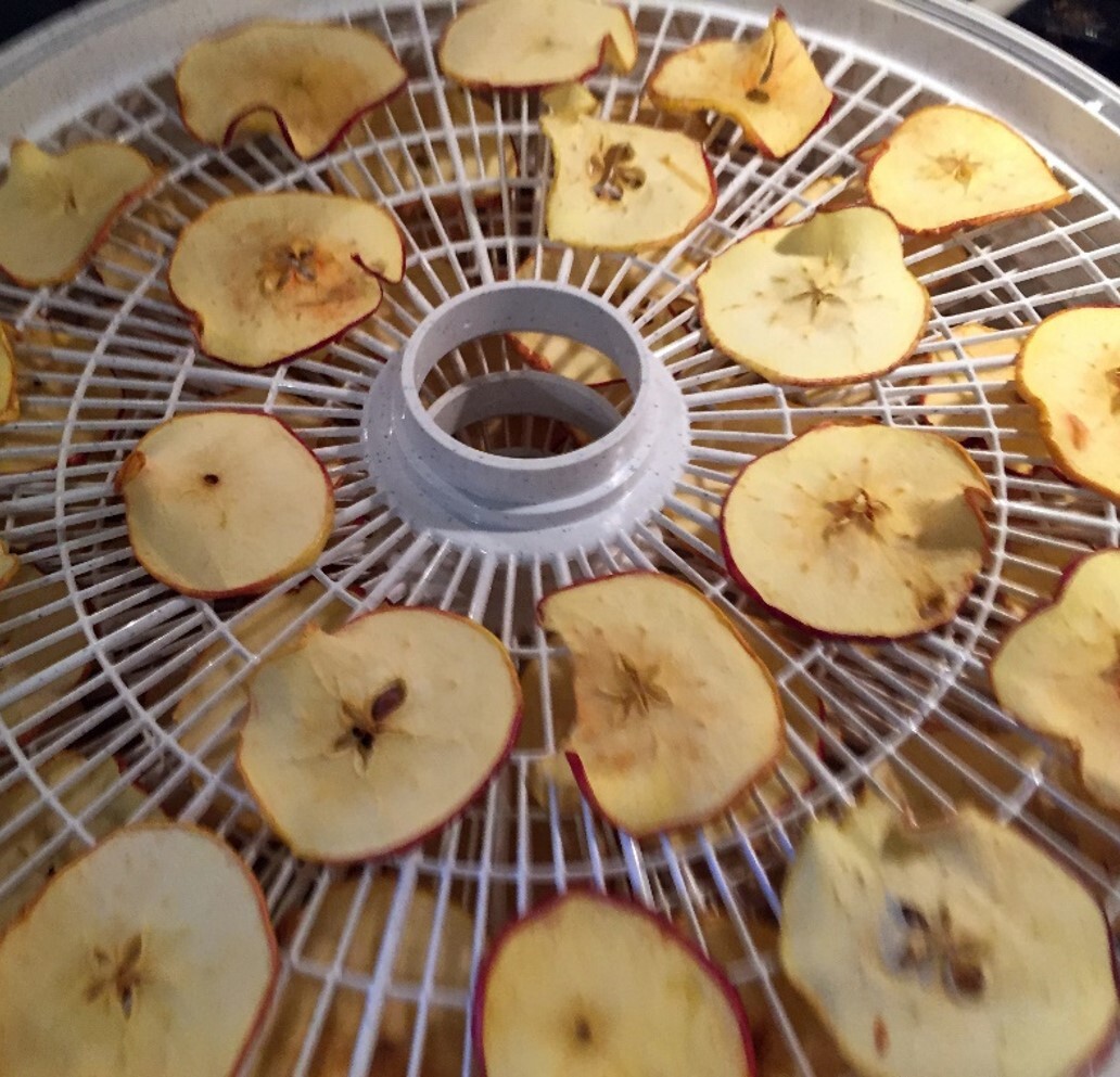 Fridge Check Friday: Making food last longer - Drying