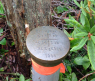 PLSS Preservation Funding Approved!