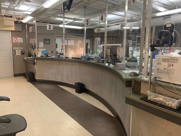 MSP Airport Signer Newsletter, April 2020