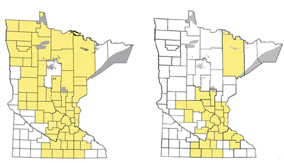METRO Green Line Extension - Extending Tracks Newsletter September 2015