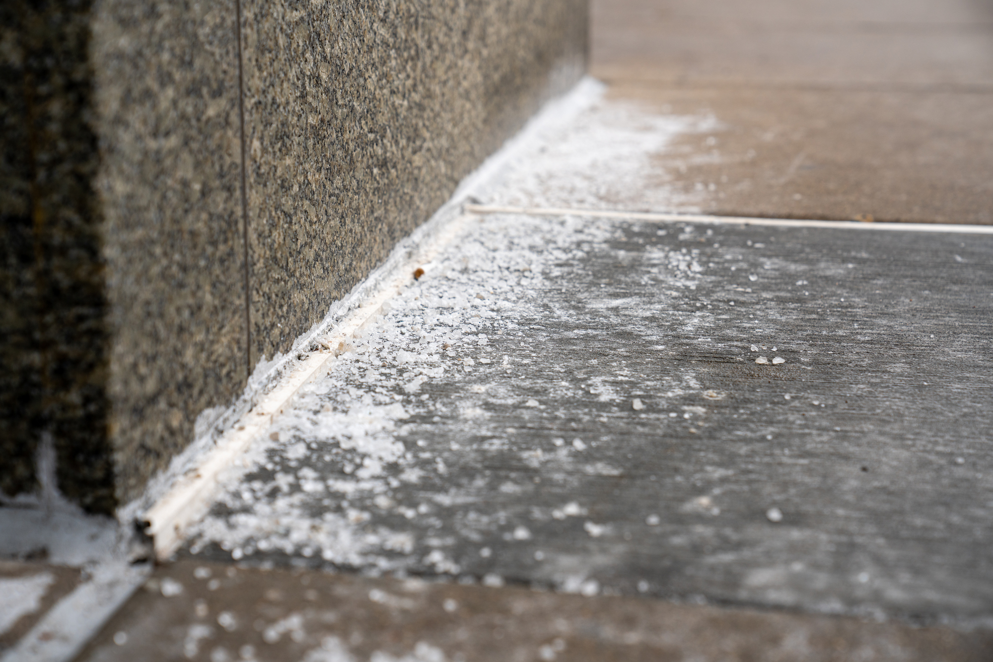 Take Action During Winter Salt Week 2026