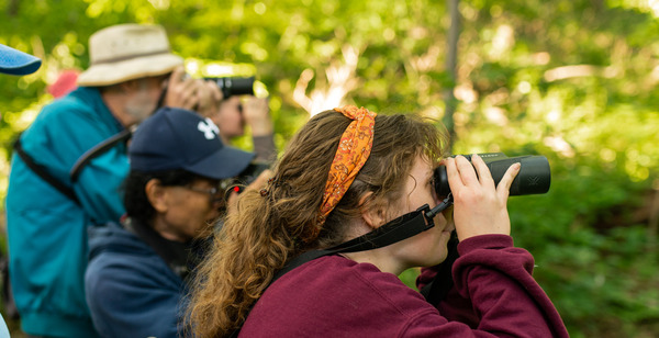 Summer Nature Programs for Adults