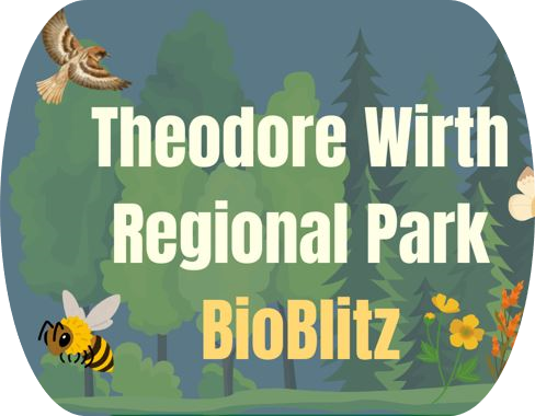 Saturday! Join the next BioBlitz adventure, Sep. 28 at Theodore Wirth Park