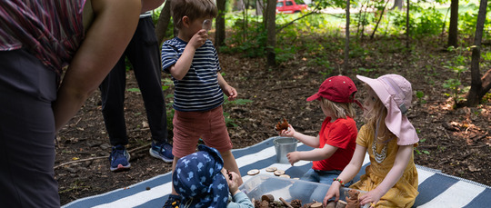 Summer Nature Activities in Minneapolis Parks
